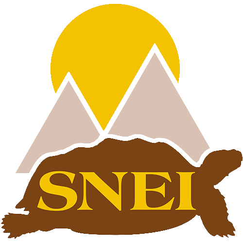 Snei Logo Direct Release: Sony Computer Entertainment And Sony Network