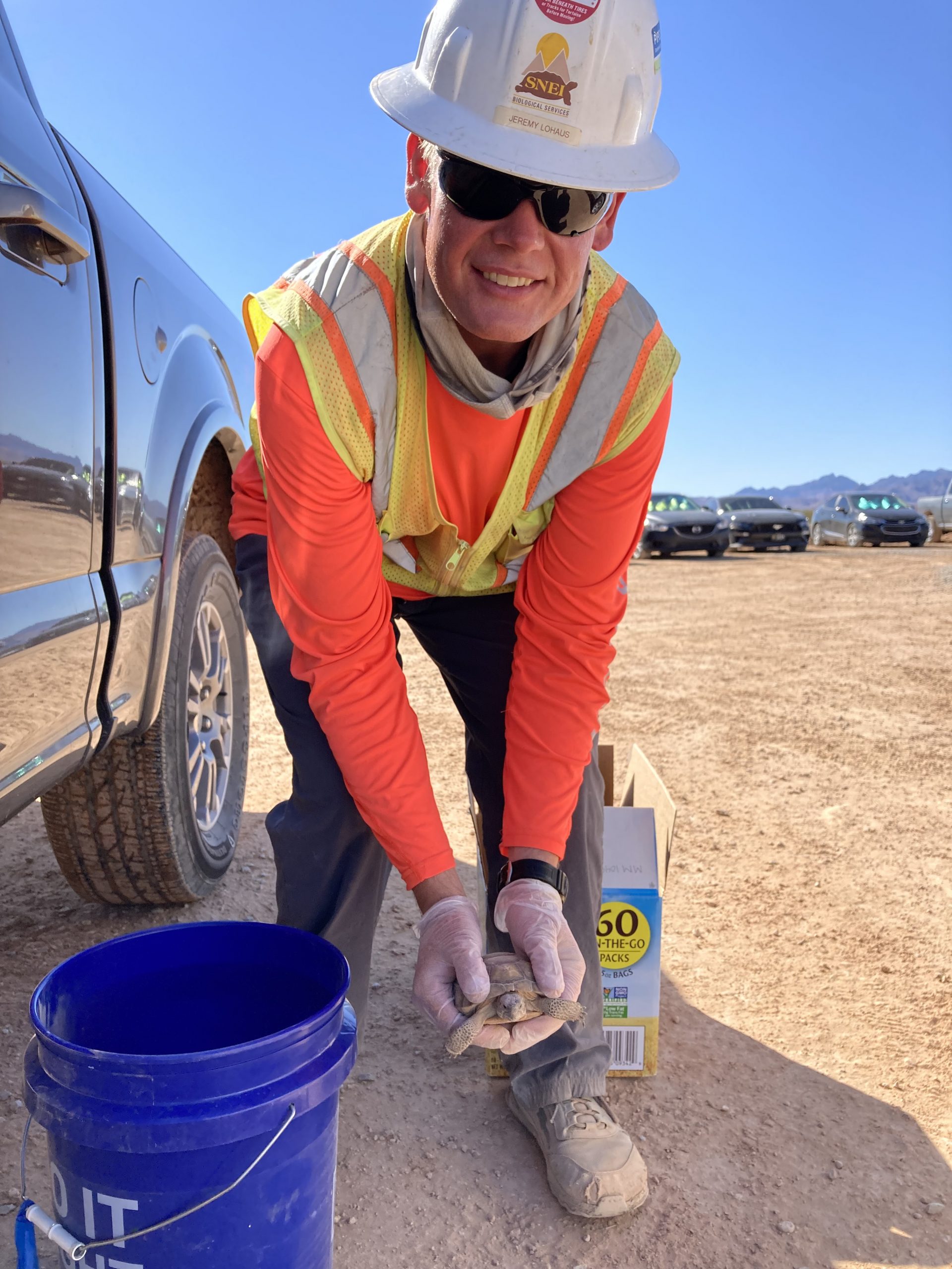 Saving Desert Tortoises - SNEI is a biological services firm, focusing ...